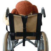 Crelling Harnesses | Fledglings