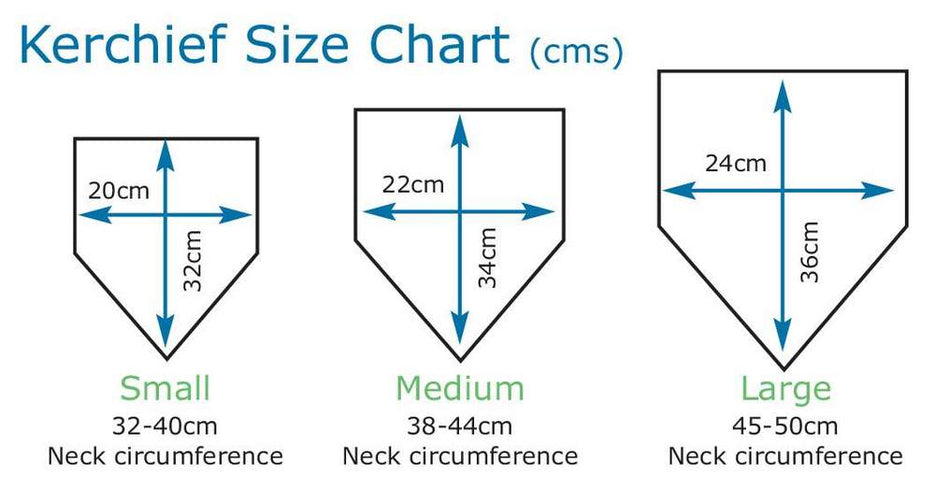 Wizzybug Powered Wheelchair | Fledglings